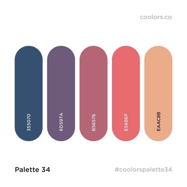 25 Beautiful Color Palette Collection