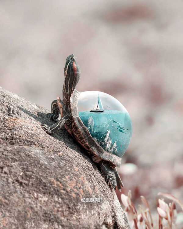 Surreal Animal Photoshop Manipulation by Julien Tabet