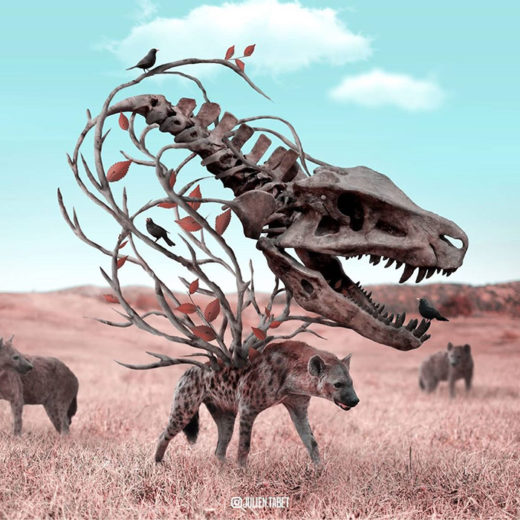 Surreal Animal Photoshop Manipulation by Julien Tabet