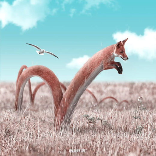 Surreal Animal Photoshop Manipulation by Julien Tabet